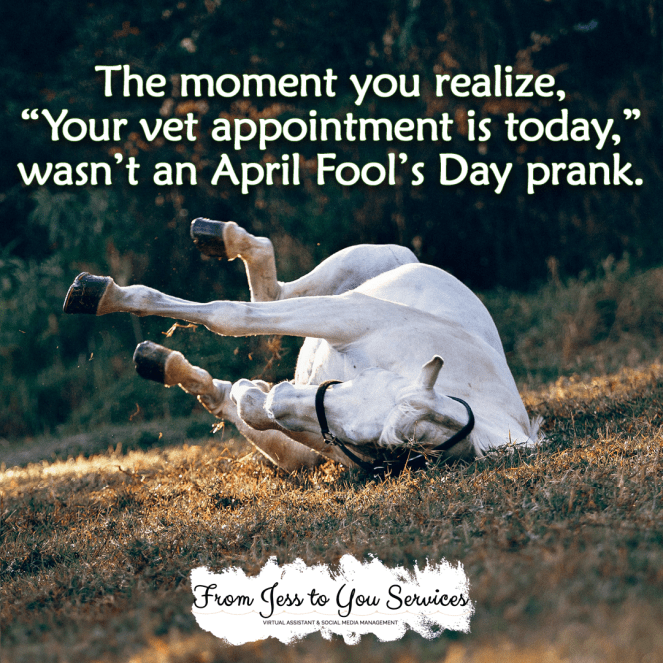 Happy April 1st / April Fool’s Day – A Horse Veterinary Meme – From ...